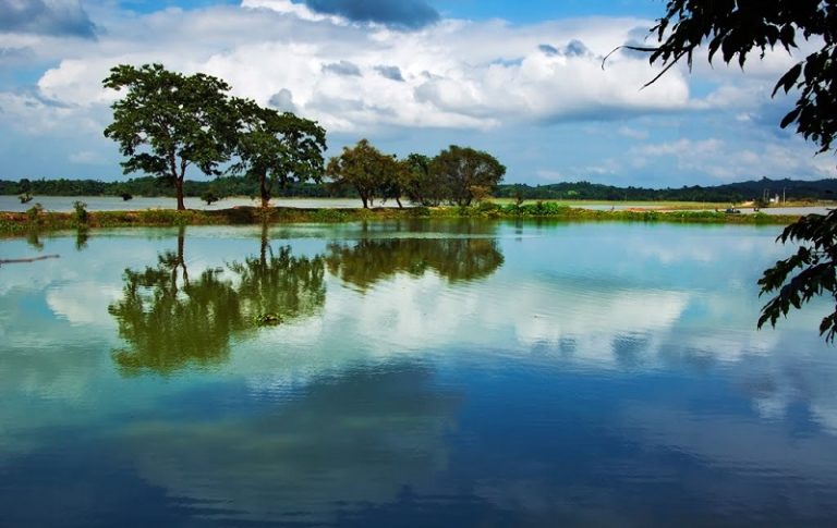 Visit Son Beel - The Largest Wetland of Assam | Tripbeam