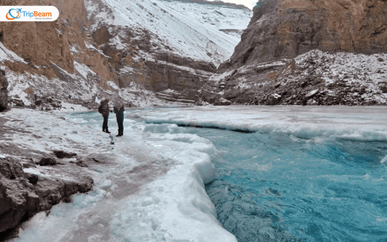 Visit Ladakh in Winter to Witness The Frozen Chadar River Trek ...
