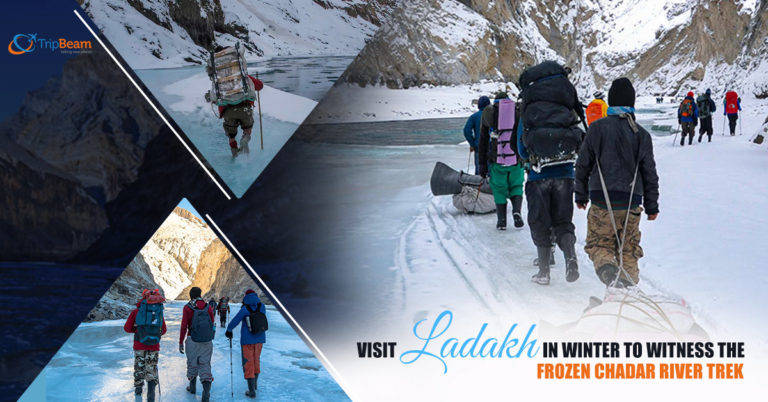 Visit Ladakh in Winter to Witness The Frozen Chadar River Trek ...