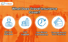 Travel Insurance 101: A Complete Guide To Hassle-Free Travel