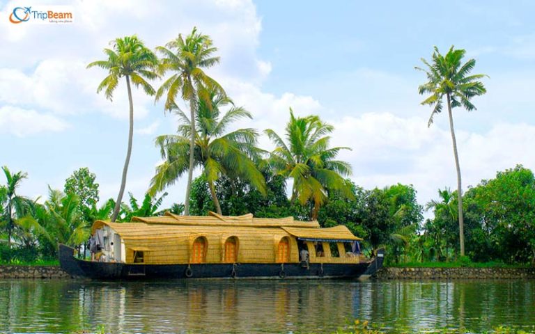 Top Most Romantic Places In Kerala For Couples On Their Honeymoon ...